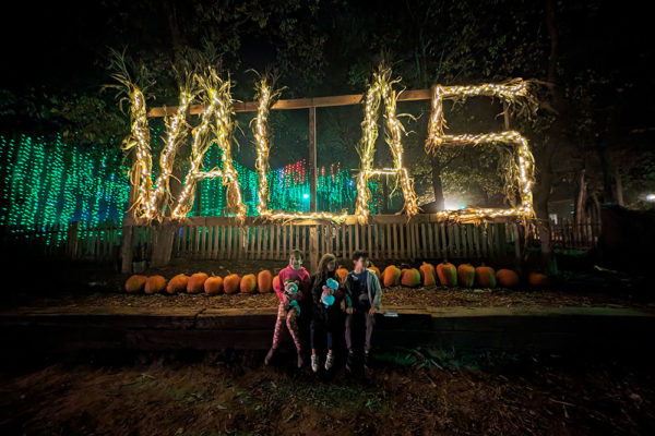 Attractions - Endless Fun Awaits | Vala's